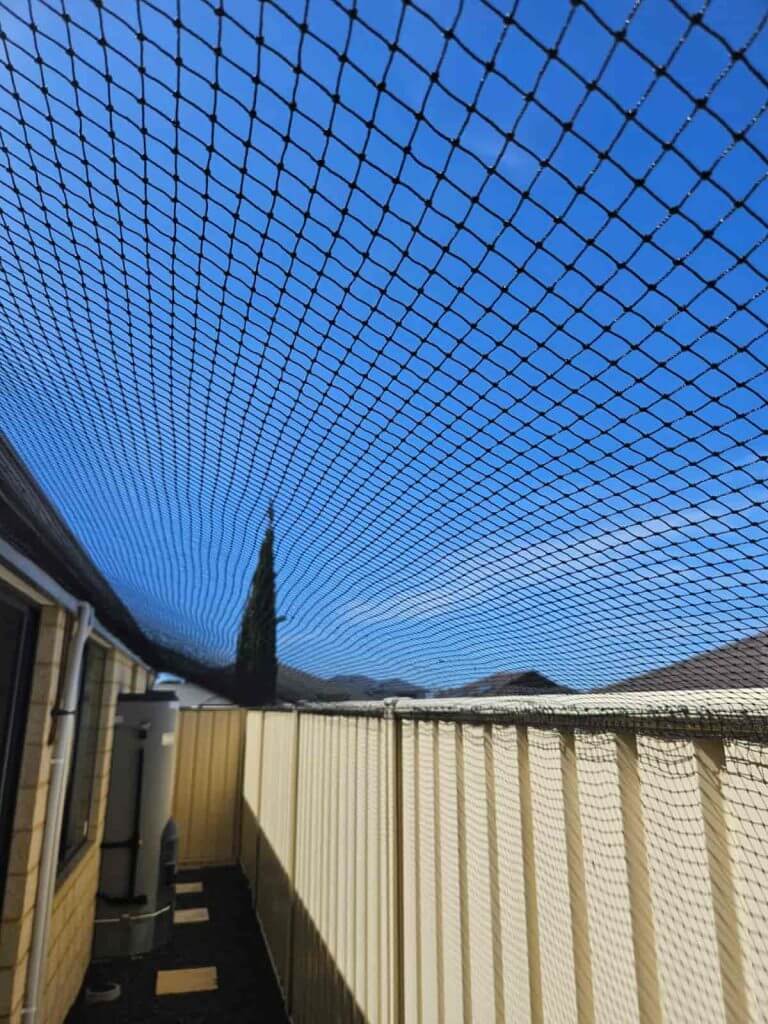 Cat Netting Enclosure | Kittysafe