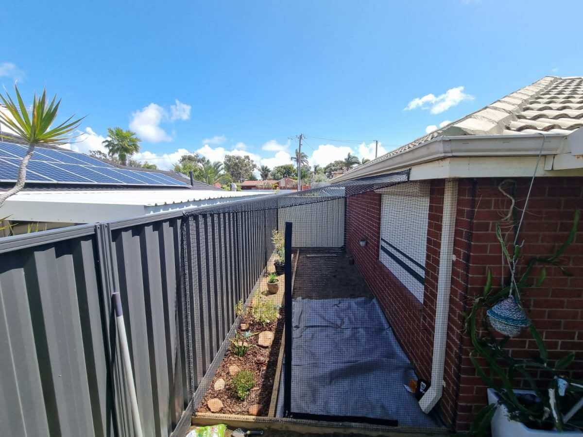 Cat Enclosures Side Of House In Perth | Kittysafe
